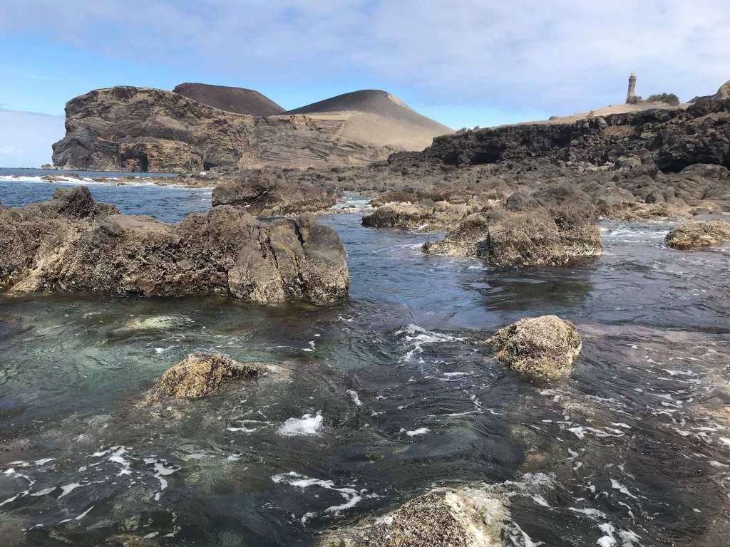 Capelo - Visit Faial, the best destination of the Azores
